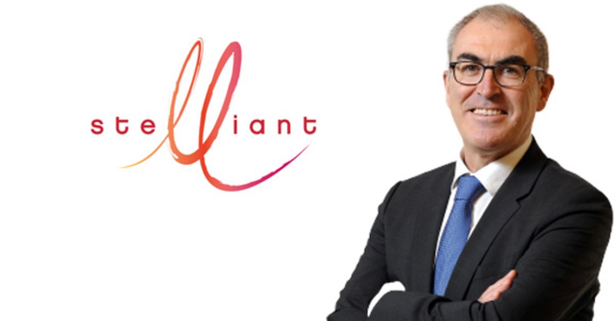 « Stelliant va poursuivre son développement et continuer de recruter ...