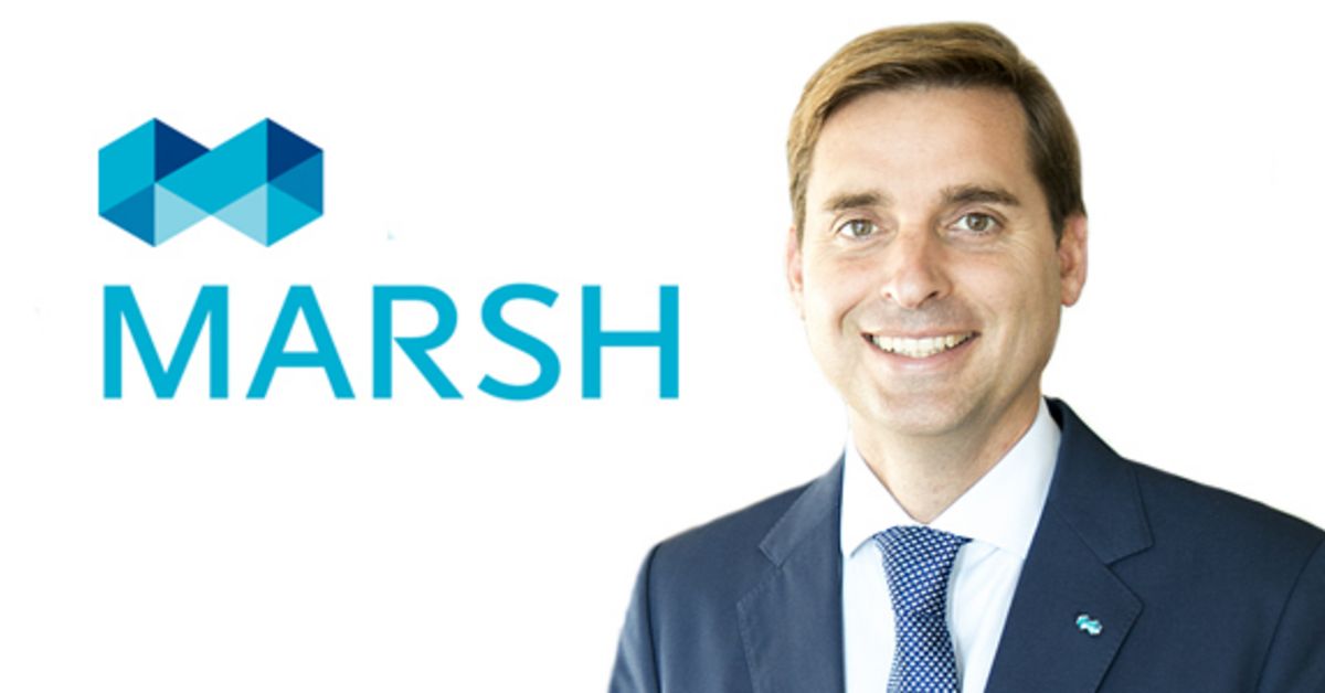 «Marsh France a placé 30 M€ de primes et gère 170 polices cyber» | La ...