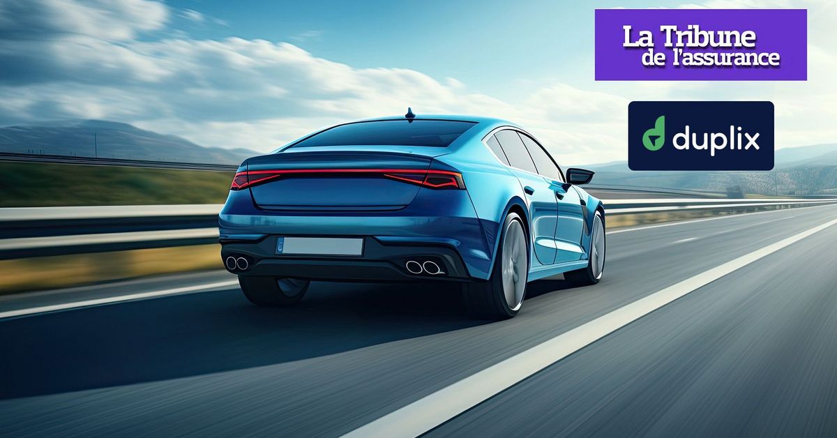 Benchmark tarifaire avec Duplix : Xenassur et Solly Azar aux petits ...